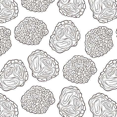 Truffle Mushrooms Seamless Pattern Line Art Style For Wrapping Paper
