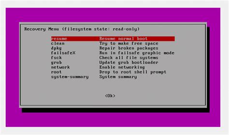 How To Upgrade From Ubuntu 18 04 To 20 04