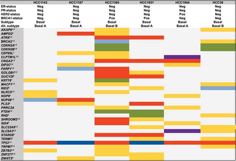 Integrated Recurrent Somatic Mutations And Copy Number Variations The