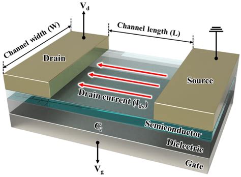 Organic Field Effect Transistor Working Principle At Sandra Raines Blog