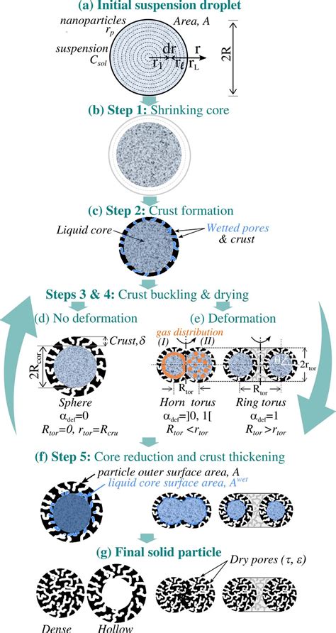 Schematic Diagram Of The Droplet Drying Model In Five Steps 1 Download Scientific Diagram