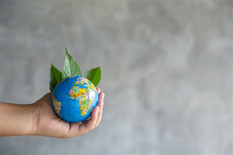 Unveiling The Dynamics Of Climate Change Impacts Actions And Global Unity Blog Superior