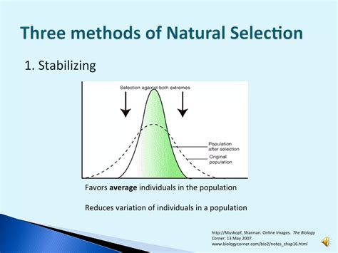 Module 12 Lesson 2 Ppt