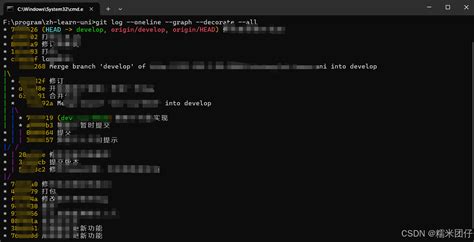 git bug合集 csdn博客