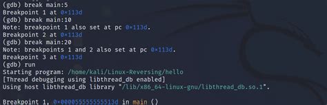 Reversing Linux Applications Securityboat Workbook