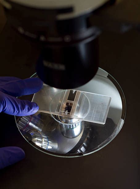 Hemo Banco De Fotos E Imágenes De Stock Istock