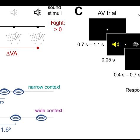 Stimuli And Experimental Task A Auditory And Visual Stimuli Were