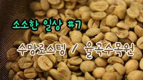 4k 감성일상 브이로그 Vlog 저는 이렇게 10년 넘게 했어요 수망로스팅 파주 힐링 여행 율곡수목원 고퀄리티 영상 소소한 일상 Youtube