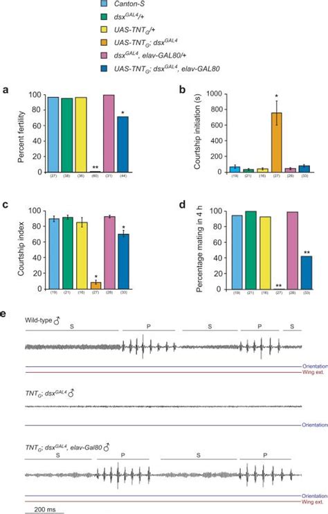 Control Of Sexual Differentiation And Behavior By The Doublesex Gene In Drosophila Melanogaster