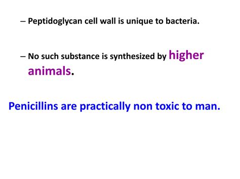 Beta Lactam Antibiotics And Other Inhibitors Of Cell Wall Synthesisppt