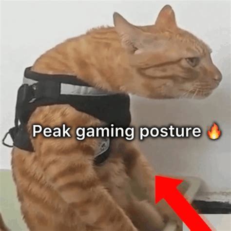 Peak Gaming Meme Peak Gaming Posture Discover And Share S