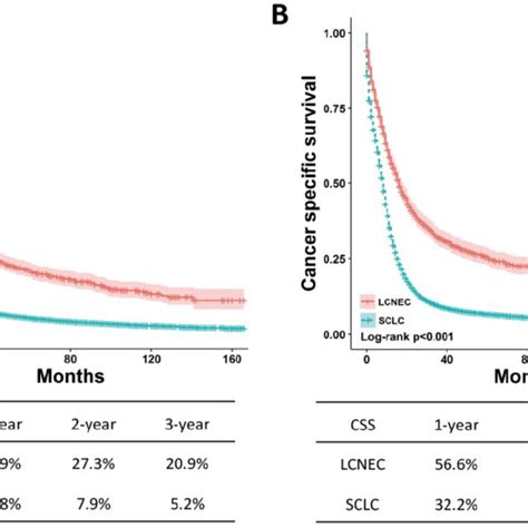 Os And Css For The High Grade Lcnec And Sclc Patients Using Download Scientific Diagram