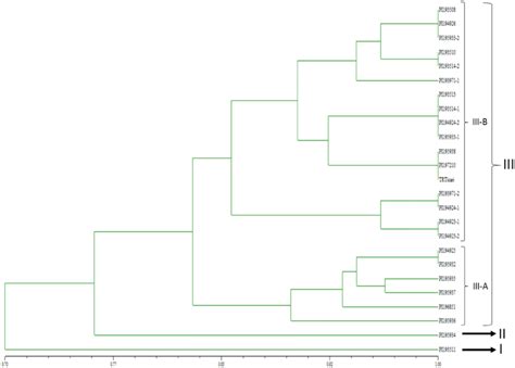 Genetic Similarity Dendrogram Based On Nei 1972 For 25 Tef Genotypes Download Scientific