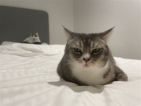 Quest Robina 103 ̶1̶1̶0̶ Updated 2023 Prices And Hotel Reviews Australia Gold Coast