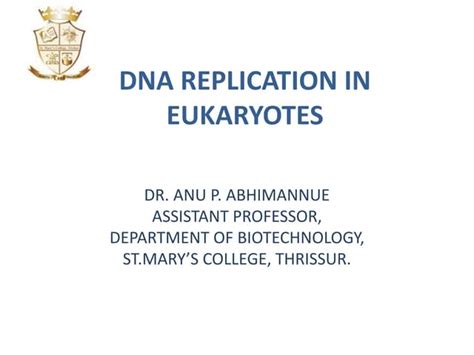 Dna Replication Eukaryotes Pptx