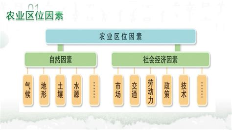 31 农业的区位选择（课件）（50张） 21世纪教育网