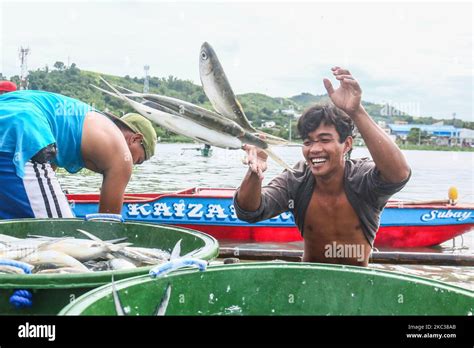 Because Of The Strong Of Typhoon Rolly Small Scale Fishermen In