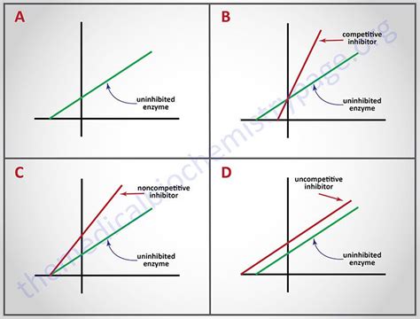 Competitive Inhibition Plot At Edward Mozingo Blog