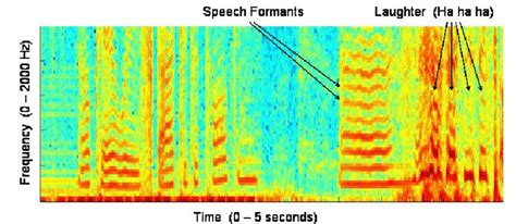 Spectrogram Showing Distinct Features Of Speech And Laughter