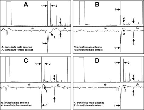 Representative Coupled Gas Chromatography Electroantennogram Analyses Download Scientific