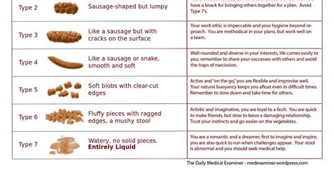 Expanded Bristol Stool Chart With Myers Briggs Personality Typing