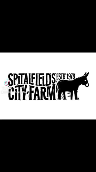 Harrison Holgate On Linkedin A Team From Harrison Holgate Had A Great