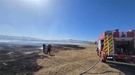 ОБЕГ ын Урьдчилан сэргийлэх мэдээлэл 🔥ОЙ ХЭЭРИЙН 3 ТҮЙМРИЙГ ЦУРМАНД