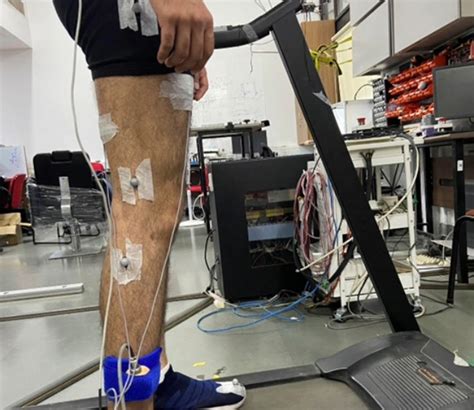 Musculoskeletal Modelling Of Altered Gait Using Opensim Dhyey Shah