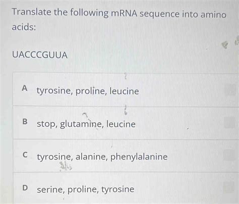 Solved Translate The Following Mrna Sequence Into Amino Acids