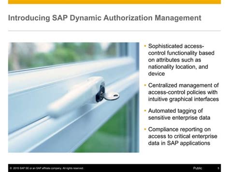 SAP Dynamic Authorization Management PPT