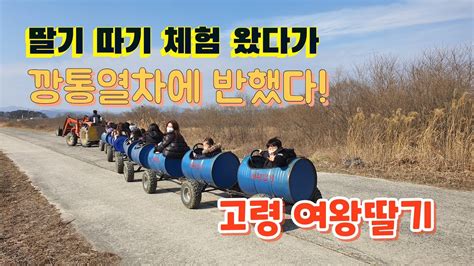 고령딸기체험 여왕딸기 스릴만점 깡통열차 체험가득한 곳 Youtube