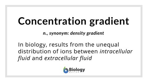 Concentration Gradient Definition And Examples Biology Online