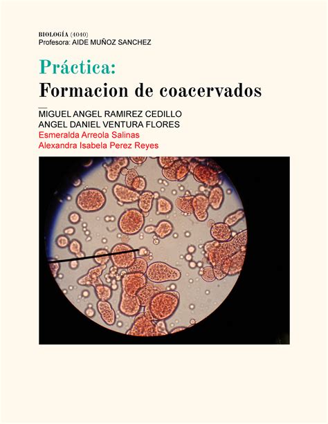 Formacion De Coacervados BiologÍa 4040 Profesora Aide MuÑoz