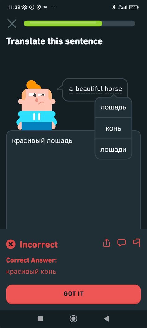 What Is Wrong Here Rduolingo