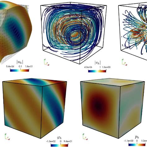 Accuracy Test In 3d Approximate Solutions Of The Biot Brinkman Download Scientific Diagram