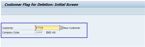 Sap Fi Delete Customer