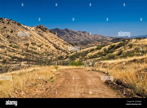 Patagonia Mountains Distant View From Salero Canyon Road Forest Road
