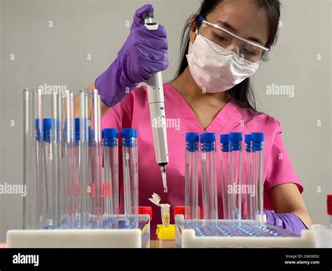 Woman Injecting A Substance Into A Tube Using A Multichannel Pipette Stock Photo Alamy