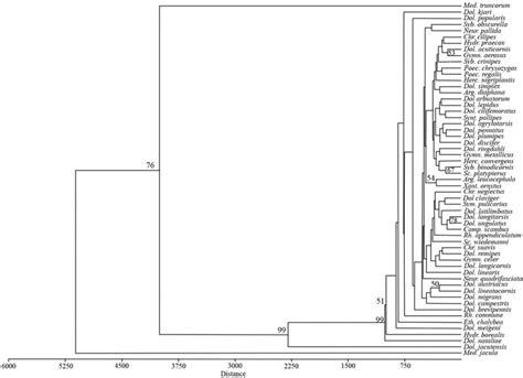 Results Of UPGMA Cluster Analysis Of The Canonical Coefficients Of Download Scientific Diagram