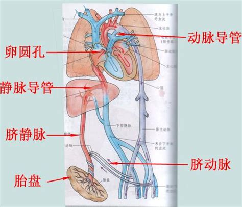 Ispnandrn天天學 0515 每日頭條