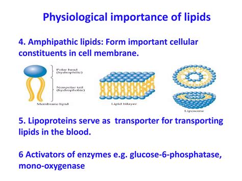 Chemistry Of Lipids Pptx
