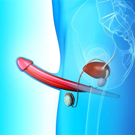 Erectile Dysfunction Help Center In Beverly Hills Erectile Dysfunction Help Center In Beverly Hills