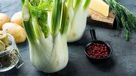 9 Great Companion Plants For Catnip