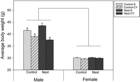 Body Weight Averaged By Cage Throughout The Experiment Differences Due Download Scientific