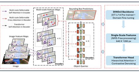 Rf Detr Overcoming The Limitations Of Detr In Object Detection