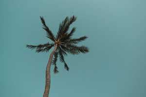 Comment Masser Le Sexe D Une Femme Nos 3 Conseils