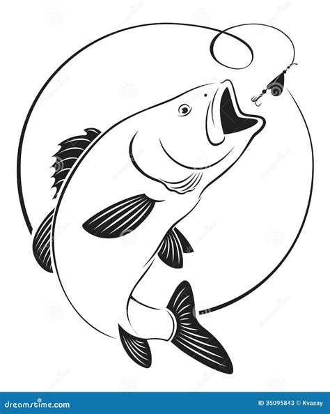 Fish Bass Cartoon Vector 35095843