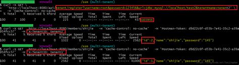 spring mybatis dynamic datasource fjd