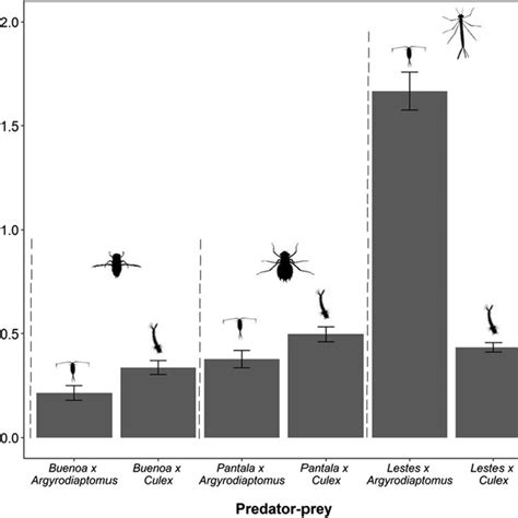 Type Ii Functional Response Curves Of The Interaction Of Download Scientific Diagram