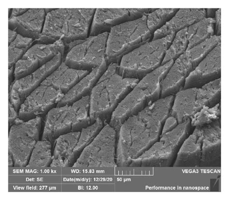 Influence Of Different Packing Methods And Storage Temperatures On The Download Scientific